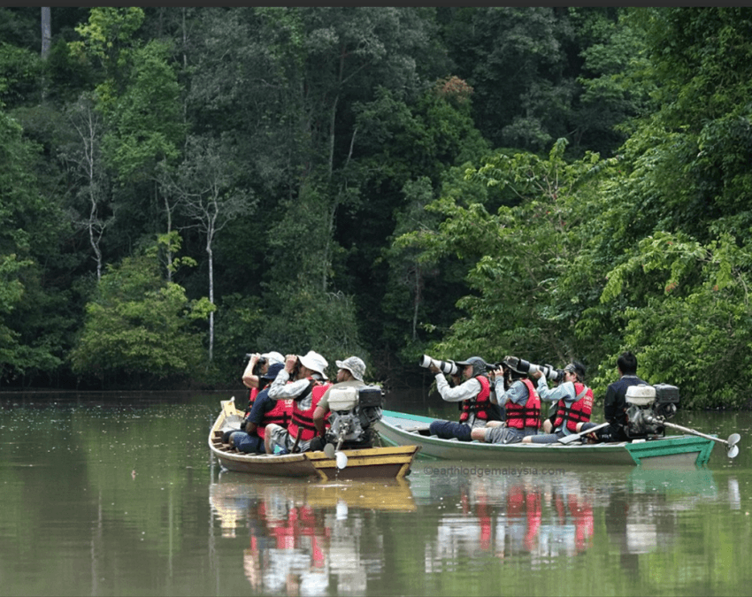 Curated Journeys - Sustainable Tourism Malaysia