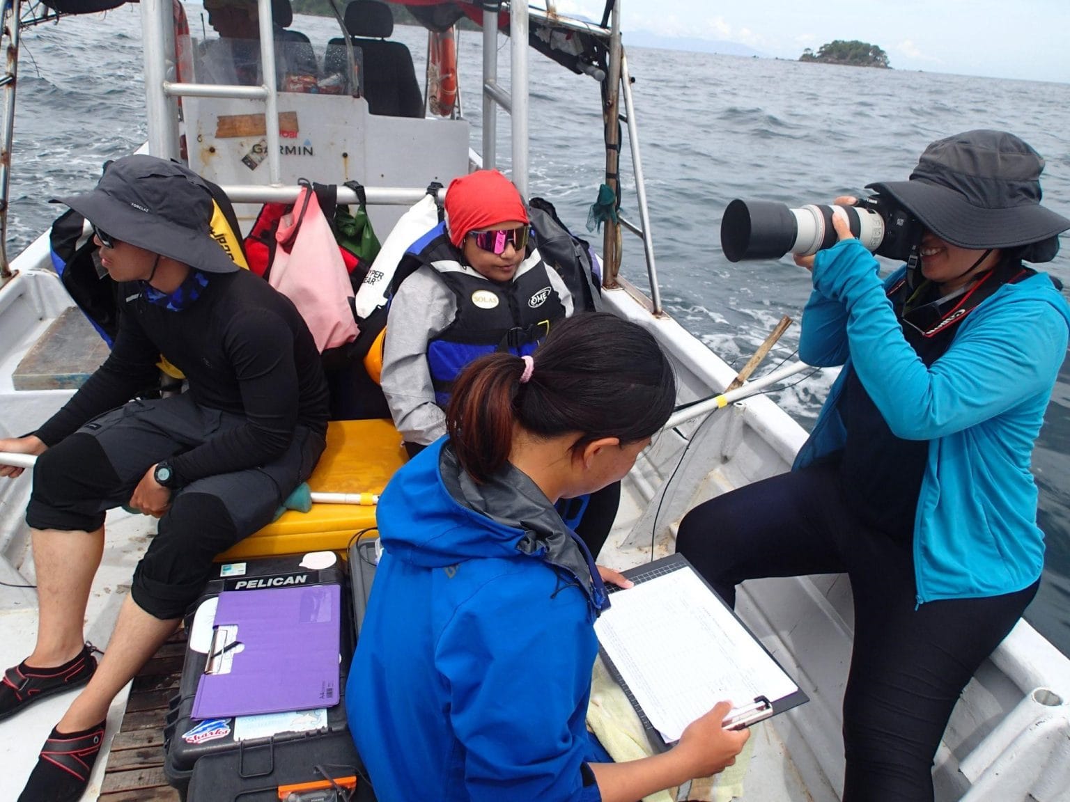 Waves of Change: What to Expect as a Marine Conservation Volunteer ...